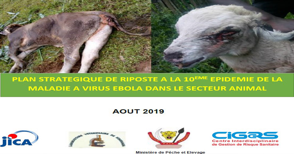 Plan stratégique Ebola Secteur animal V1-2019 - Ecole de Santé Publique ...